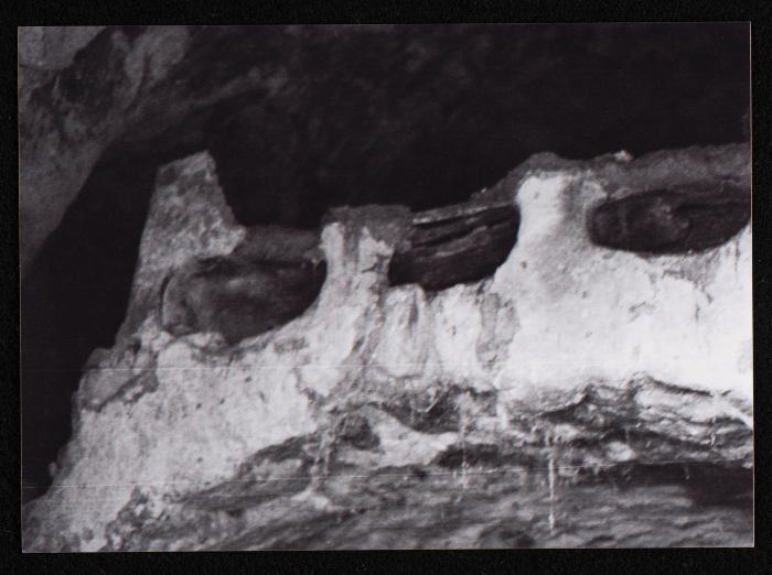 The Palestinian Museum Digital Archive - أرشيف المتحف الفلسطيني الرقمي ...