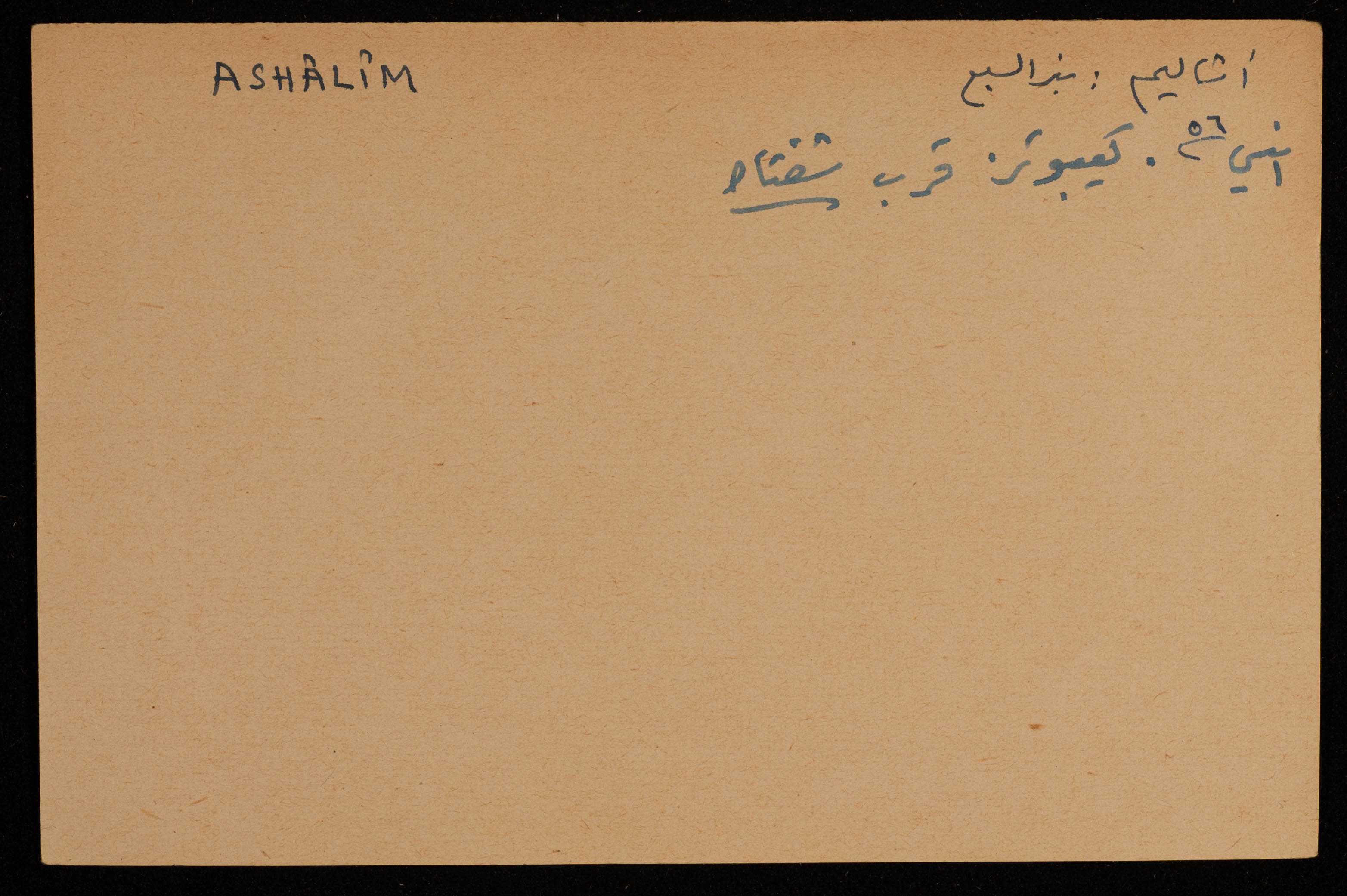 The Palestinian Museum Digital Archive - أرشيف المتحف الفلسطيني الرقمي ...