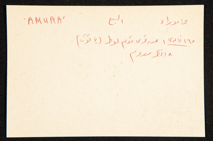 The Palestinian Museum Digital Archive - أرشيف المتحف الفلسطيني الرقمي ...