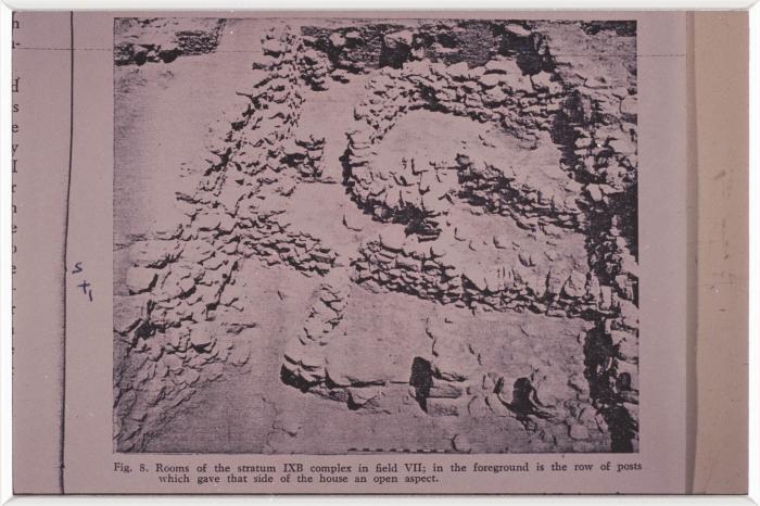 The Palestinian Museum Digital Archive - أرشيف المتحف الفلسطيني الرقمي ...