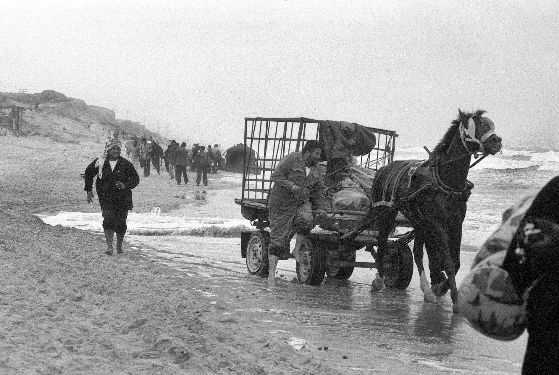 The Palestinian Museum Digital Archive - أرشيف المتحف الفلسطيني الرقمي ...