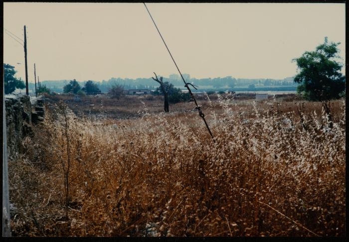 The Palestinian Museum Digital Archive - أرشيف المتحف الفلسطيني الرقمي ...